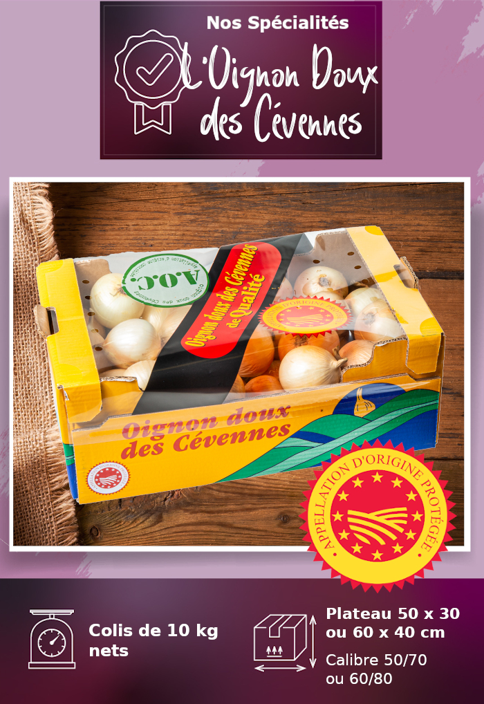 Oignons doux - Oignon - Produits